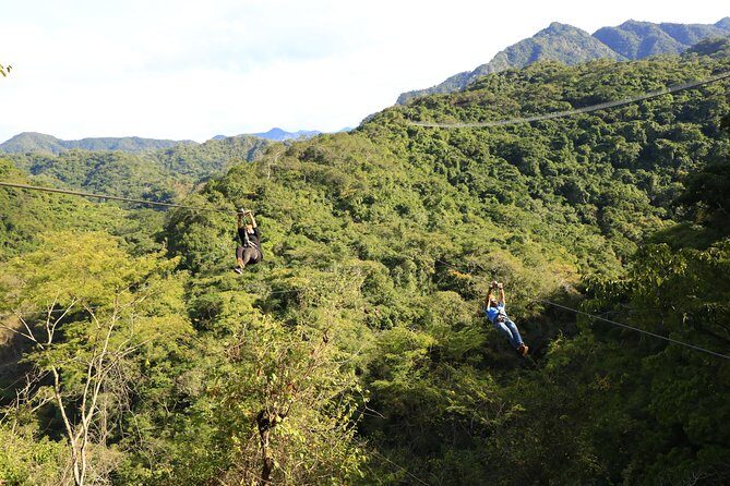 Canopy River Zipline Tour and Mule Ride - Why This Tour Delivers Value
