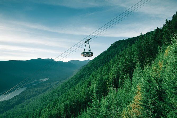 Capilano Suspension Bridge + Grouse Mountain Tour - Price and Value