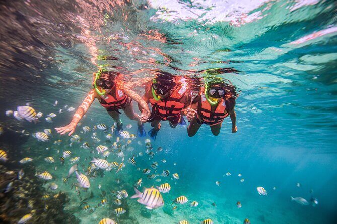 CATAMARAN to Isla Mujeres, Snorkel & Beach Club by Xcaret - The Value and Practicalities