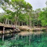 Cenote Cavern Tour and Swim with Sea Turtles in Akumal - FAQs