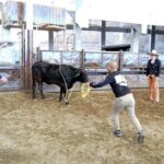 Charreria heritage tour be a charro for a day - Practical Details and Value