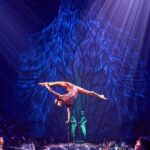 Cirque du Soleil JOYÀ Admission Tickets - The Show’s Content & Storyline