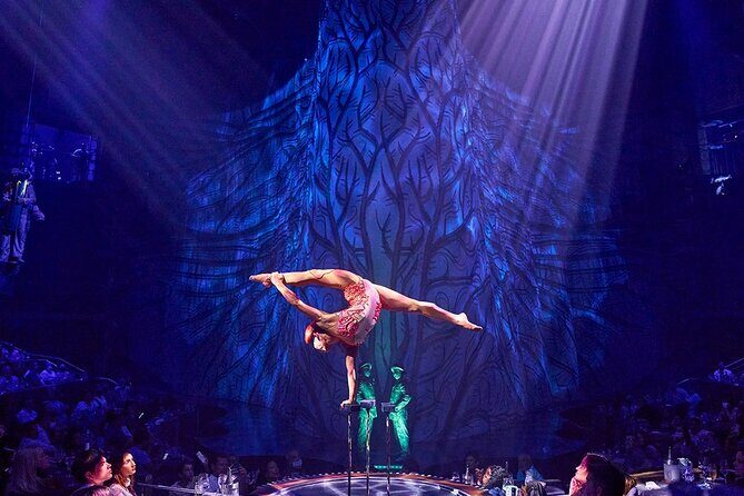 Cirque du Soleil JOYÀ Admission Tickets - The Show’s Content & Storyline
