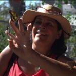 City tour express; butterfly, tequila, and beach an ecological day - Inclusions & Extras