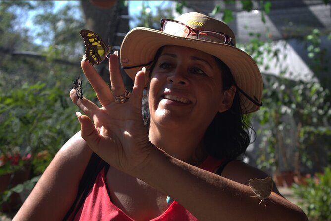 City tour express; butterfly, tequila, and beach an ecological day - Inclusions & Extras