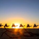 Combo Horseback ride & Sky Bike in Cabo by Cactus Tours Park - Who Will Love This Tour?