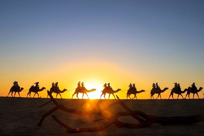Combo Horseback ride & Sky Bike in Cabo by Cactus Tours Park - Who Will Love This Tour?