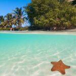 Contoy Island Tour from Cancun and Isla Mujeres with Snorkeling - What’s Included & What’s Not