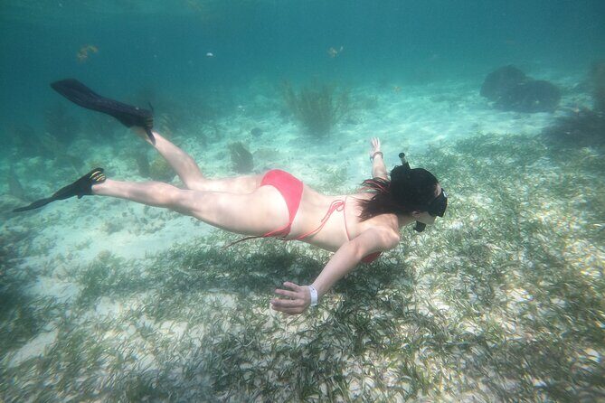 Costa Maya, snorkeling on the reef with fish, looking for turtles - What’s Included and What’s Not