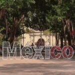 Coyoacan Food Tour - What to Expect in Terms of Timing and Group Size