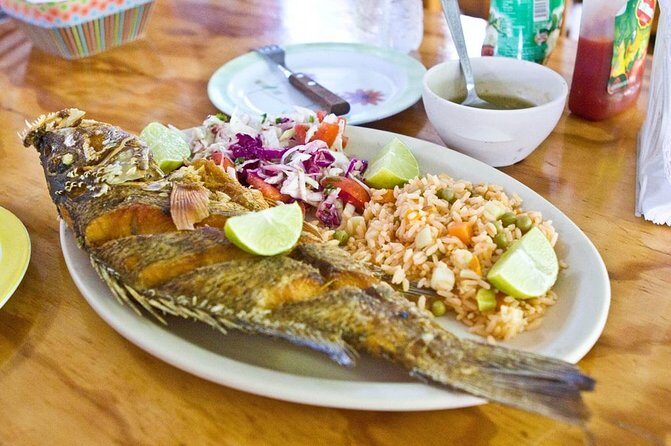Cozumel Food Tour - What to Expect During the Tour