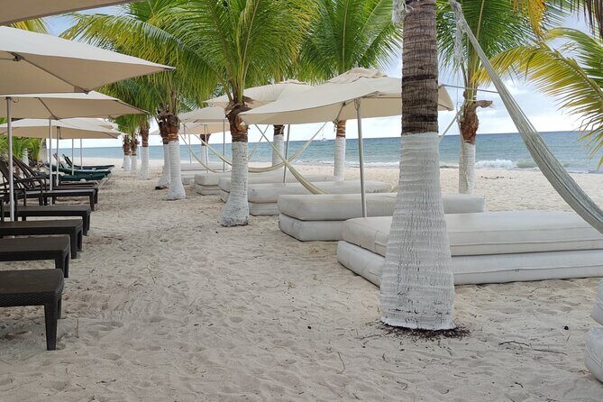 Cozumel Mayan Ruins and Beach Break - Scenic Beaches and Natural Beauty