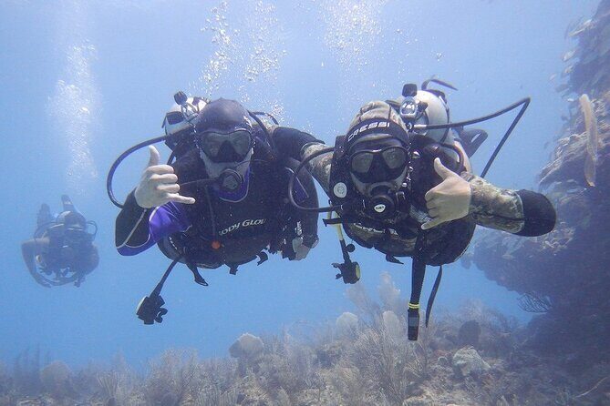 Discovery Scuba Dive. - The Experience from the Reviewers’ Perspective