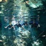 Dos Ojos Cenote VIP Private Tour  Snorkeling & Mayan Lunch - Why This Tour Offers Great Value