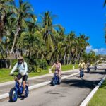 E-bike West Coast Snorkeling Tour - Practical Tips for the Tour