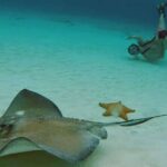 El Cielo Beach Snorkeling Adventure by Catamaran - The Itinerary in Detail