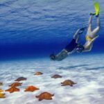 El Cielo Cozumel Snorkel Private Boat + Food + Drinks + Beach - The Itinerary in Detail