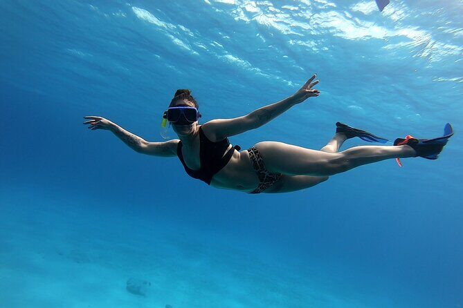 El Cielo Cozumel Snorkeling by Private Boat - The Experience of the Guides and Crew