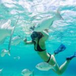 El Cielo Snorkel by Private Boat - Pricing and Value