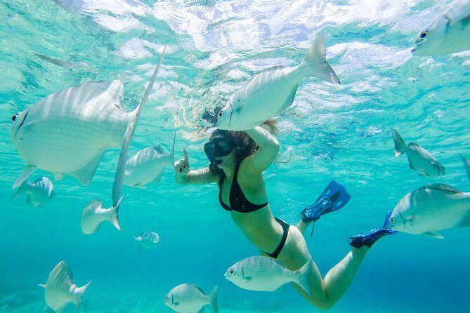 El Cielo Snorkel by Private Boat - Pricing and Value