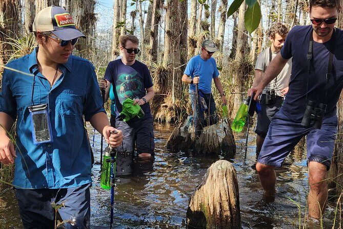Everglades Tour w/ Biologist Led WET walk + 2 Boat Trips + Lunch! - Who Will Love This Tour?