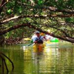 Fort Lauderdales Tropical Kayak Tour and Island Adventure - FAQs