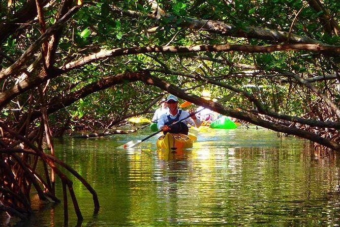 Fort Lauderdales Tropical Kayak Tour and Island Adventure - FAQs