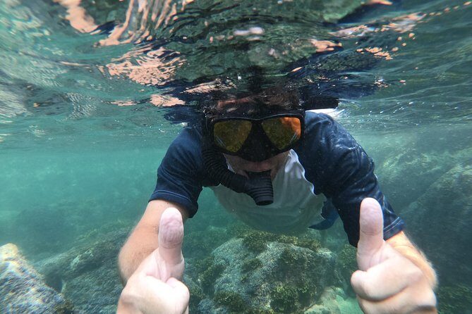 Full-Day Experience in Banderas Bay - Who Will Love This Tour?