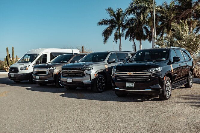 Full-Day La Paz Private Tour from Los Cabos - FAQ