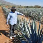 Full-Day Tequila Tour from Guadalajara - What the Tour Entails