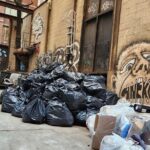 Garbage and Rats in New York City Walking Tour - What About the Practicalities?