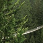 Grouse Mountain & Capilano Bridge Tour with Fish Hatchery - Analyzing the Value for Money