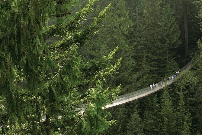 Grouse Mountain & Capilano Bridge Tour with Fish Hatchery - Analyzing the Value for Money