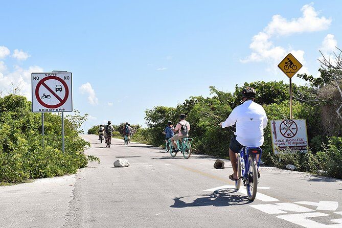 Half-Day Electric Bike Tour of Cozumel's East Side With Lunch - The Guides and Service