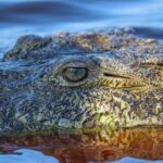 Half-Day Tour to Ventanilla, Mazunte, Zipolite and Puerto Angel - What Makes This Tour Stand Out?