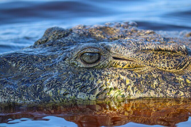 Half-Day Tour to Ventanilla, Mazunte, Zipolite and Puerto Angel - What Makes This Tour Stand Out?