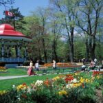 Historic Halifax by Foot - What to Expect from a Typical Tour Day