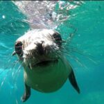 holy spirit island tour - The Route and What to Expect