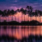 Honolulu Sea-Cliff with Sunset Photo Adventure - Who Will Love This Tour?