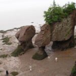 Hopewell Rocks Admission - FAQ