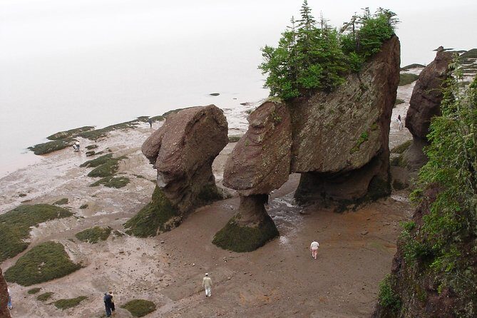 Hopewell Rocks Admission - FAQ