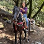 Horse experience with my family - A Closer Look at the Experience