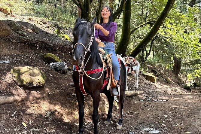 Horse experience with my family - A Closer Look at the Experience