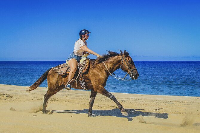 Horseback Riding Beach and Desert in Cabo by Cactus Tours Park - The Horses and Guides: What Makes the Experience Special