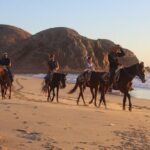 Horseback Riding Experience in Rancho San Cristobal - The Horses and Guides
