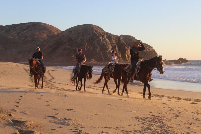 Horseback Riding Experience in Rancho San Cristobal - The Horses and Guides