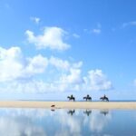 Horseback Riding Tour in Cabo San Lucas - The Ride and the Landscape: A Closer Look
