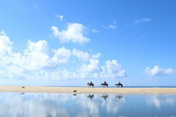 Horseback Riding Tour in Cabo San Lucas - The Ride and the Landscape: A Closer Look