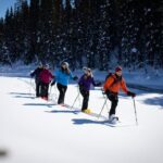 Icefields Parkway & Ice Bubbles of Abraham Lake Adventure - Exploring the Icefields Parkway & Abraham Lake’s Ice Bubbles