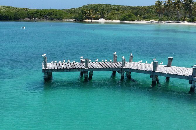 Isla Contoy and Isla Mujeres Tour with Snorkeling from Cancun - Whats Included and Whats Not